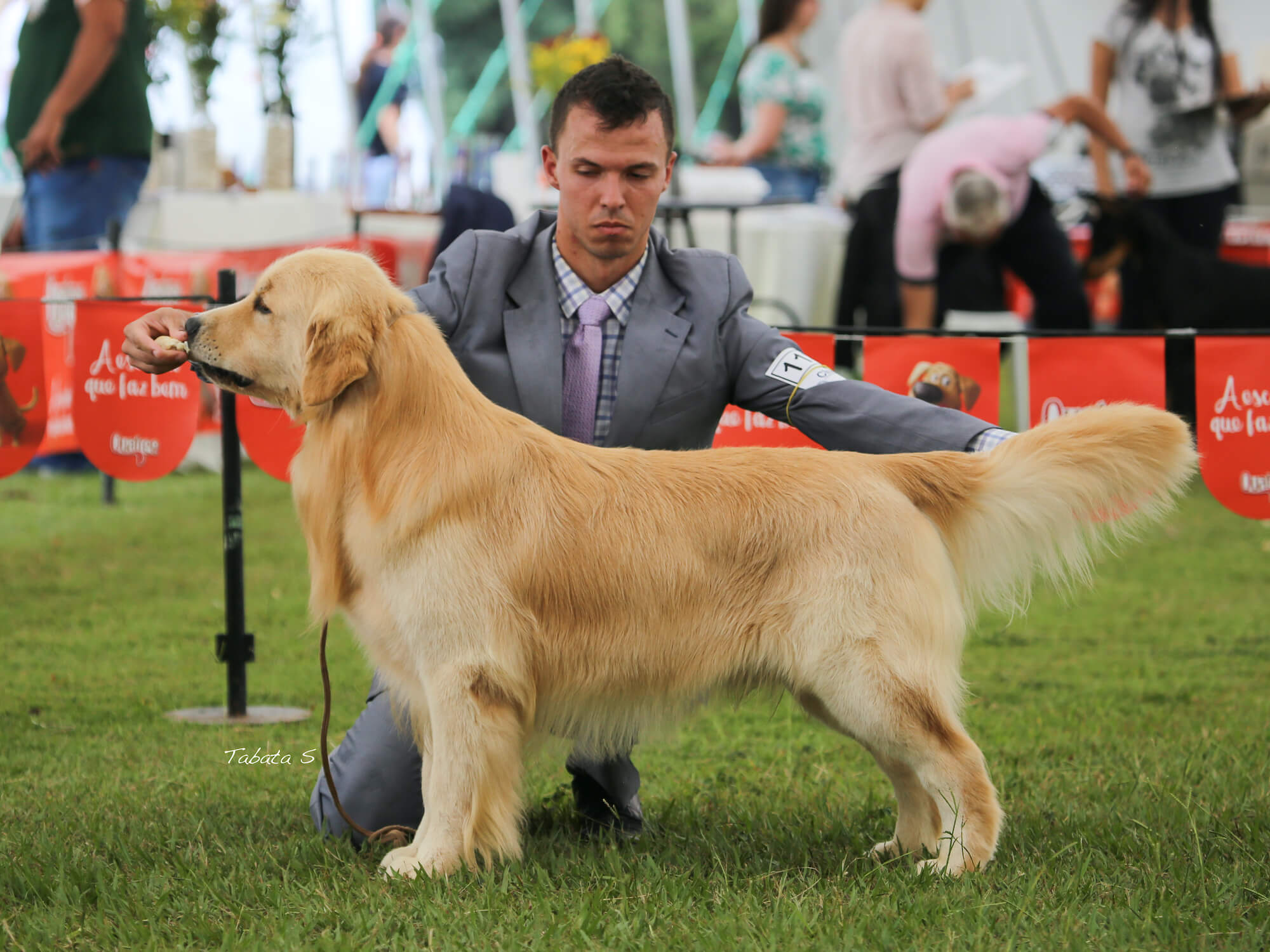 Conselho Brasileiro da Raça Golden Retriever - CBRGR